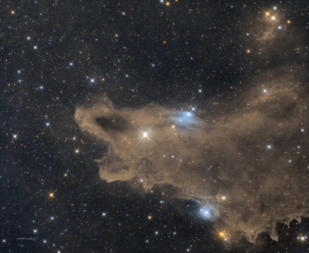 LDN1235 Shark Nebula close-up - Astrophotography by Carballada