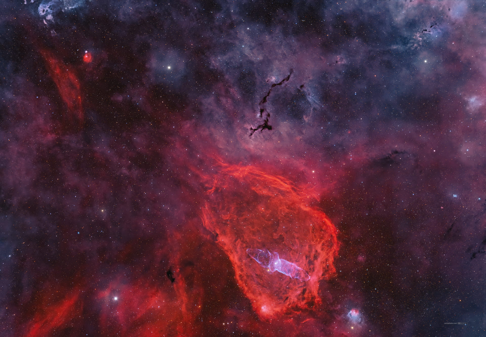 Widefield of The Flying Bat & Squid Nebula in Cepheus (Sh2-129 ...